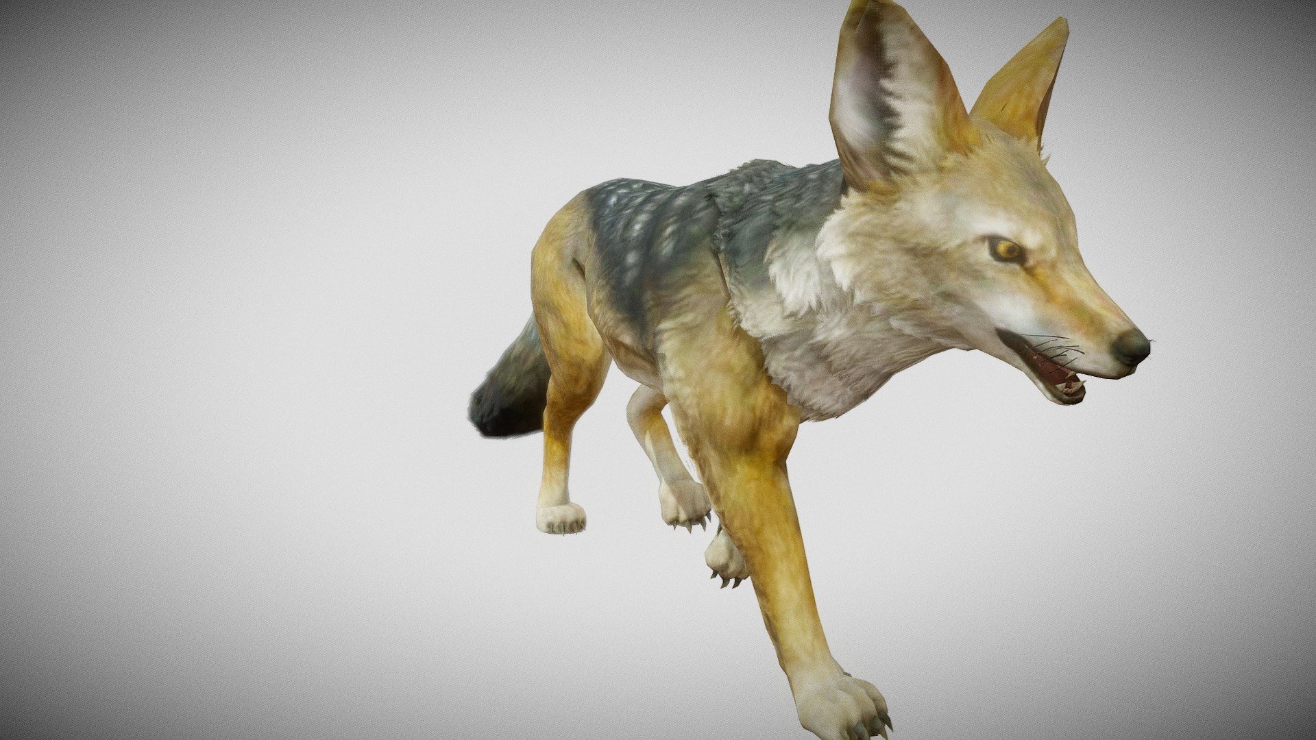Jackal - 3D model by ElectroNick [1072ed6] - Sketchfab
