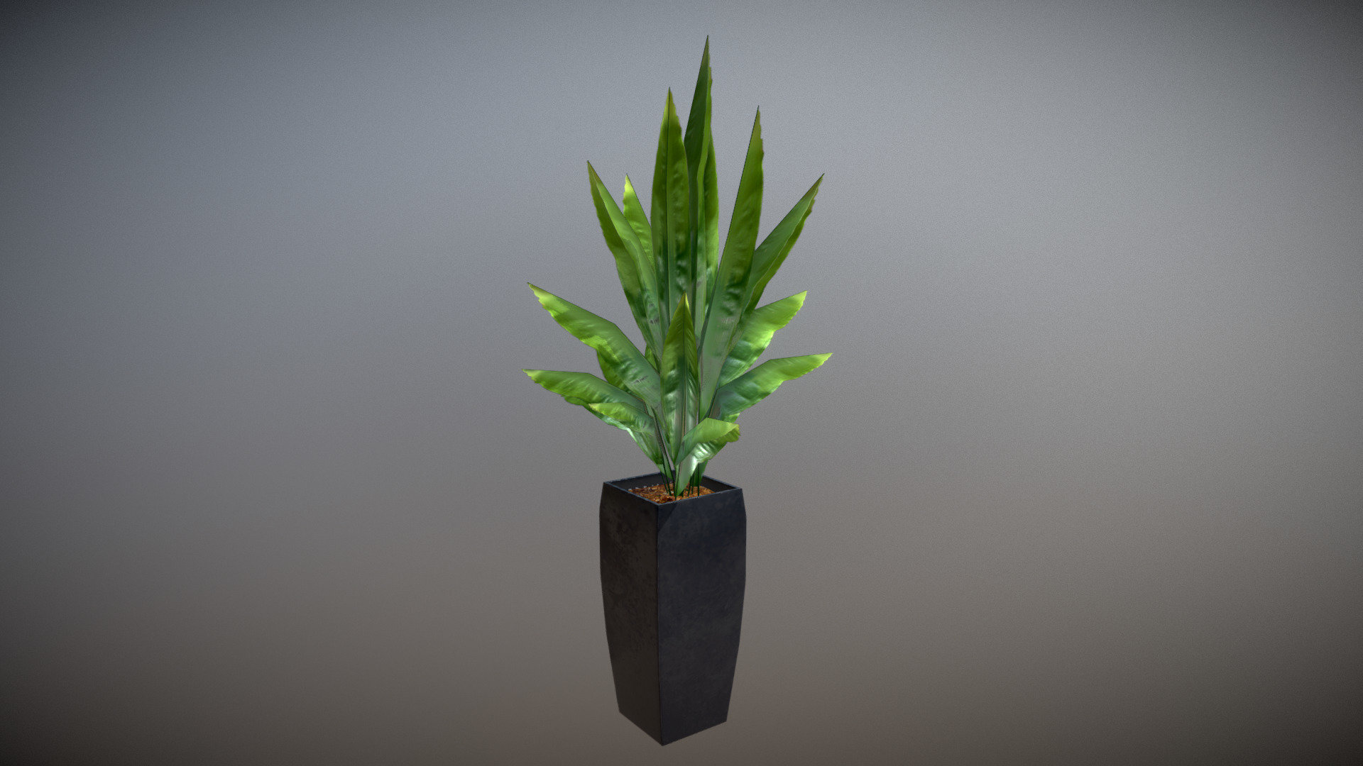 Low poly Plants - 3D model by Nelli Studio (@nellistudio) [1078e23 ...