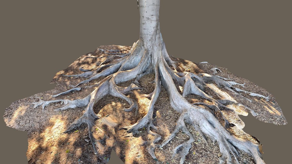 Clean and detailed iPhone iPad LiDAR mesh scans - A 3D model collection ...