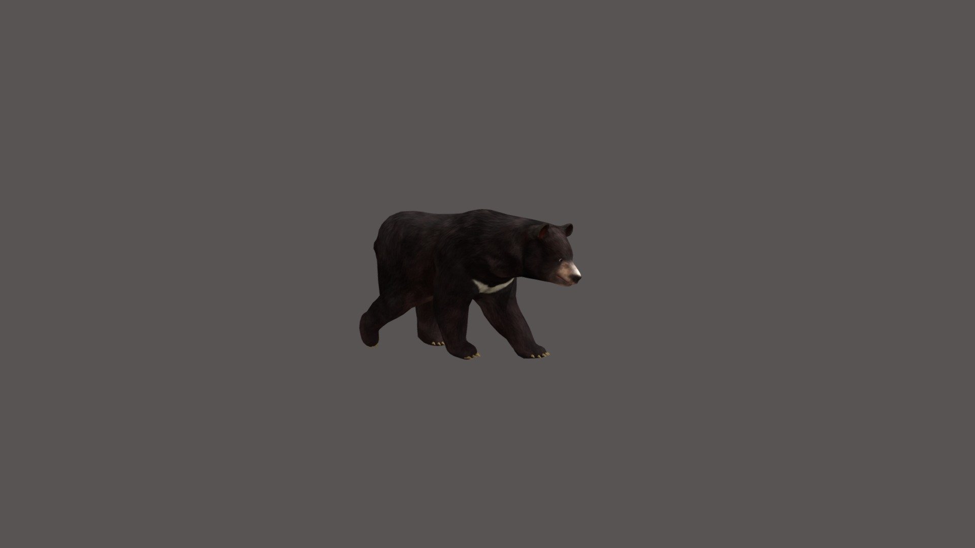 bear_walk - 3D model by sixuan [108b756] - Sketchfab