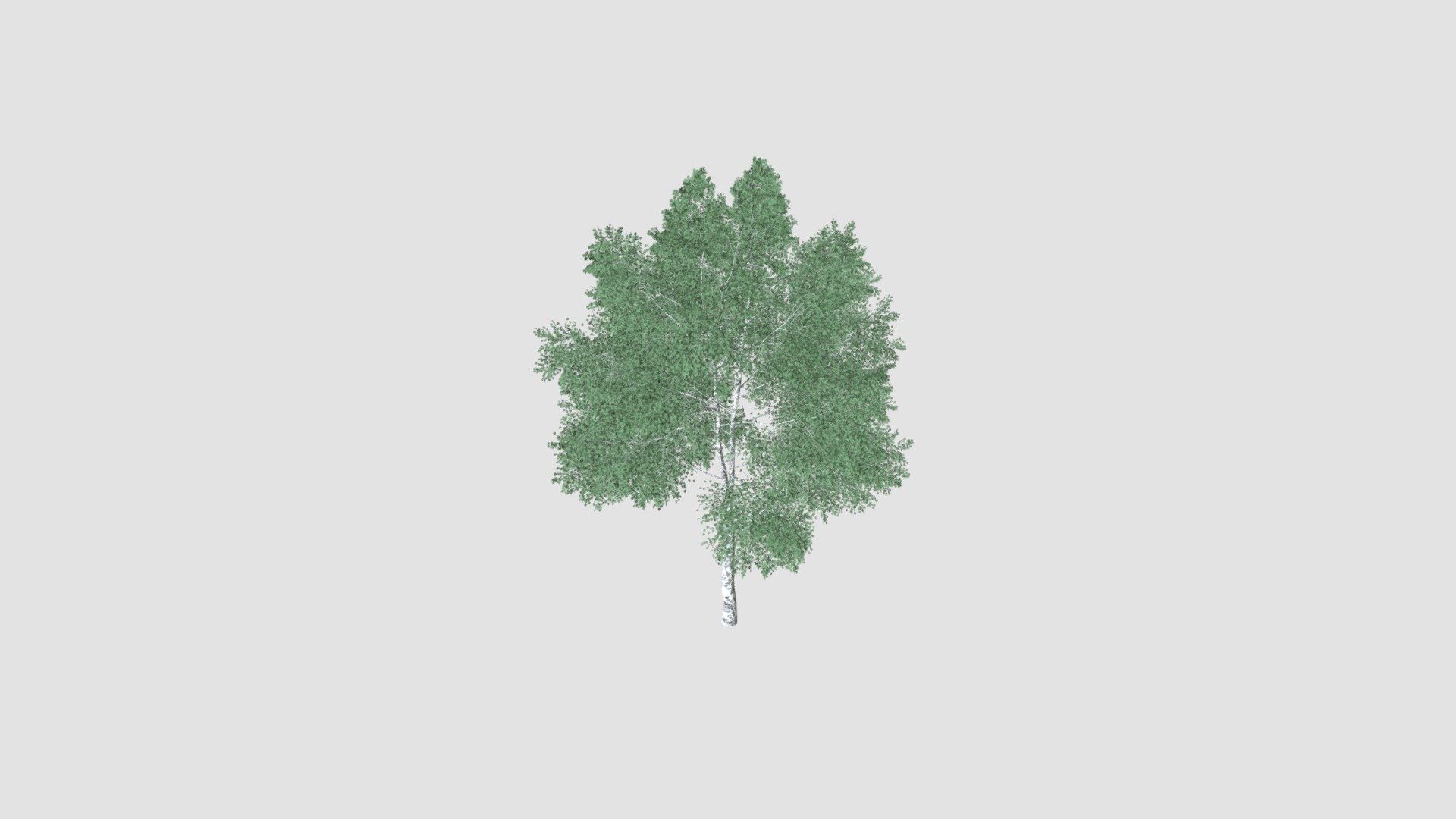 tree - Buy Royalty Free 3D model by Evermotion [108ca83] - Sketchfab Store