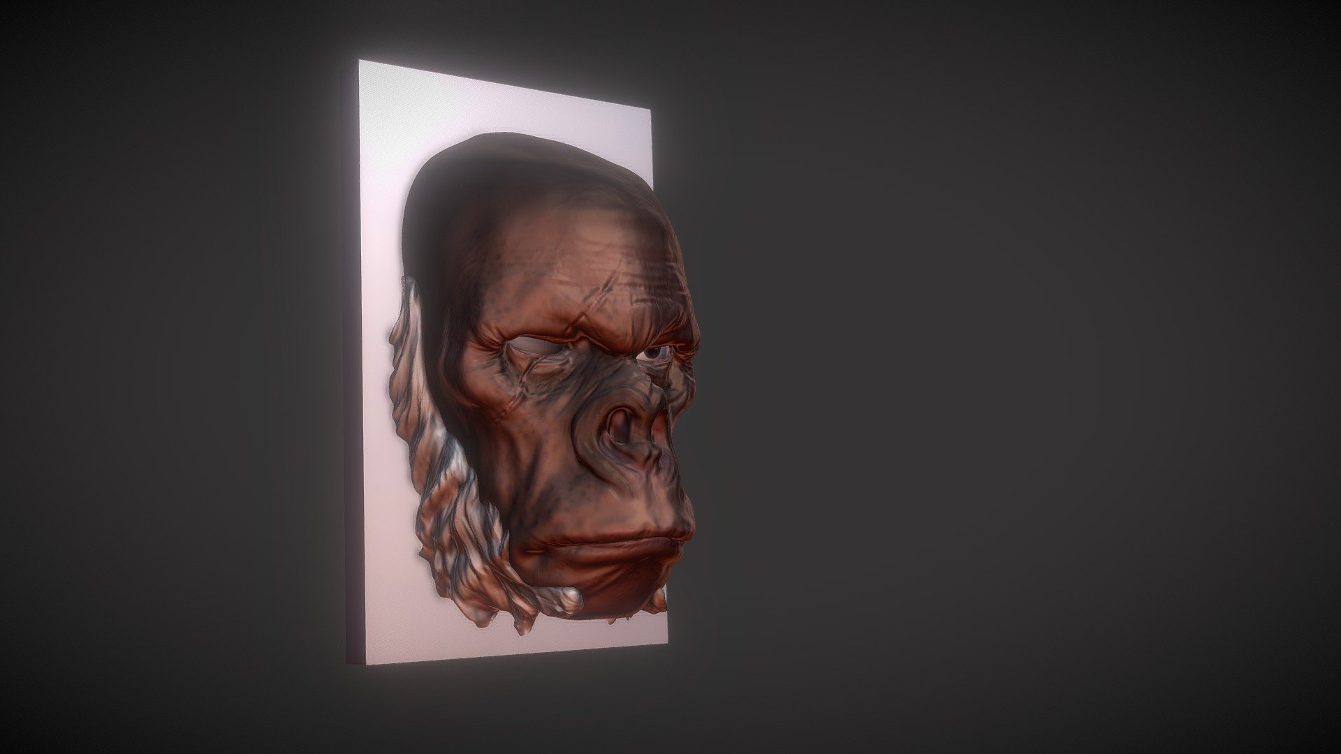 old monkey - Download Free 3D model by weskersp (@weslley) [108eefd ...