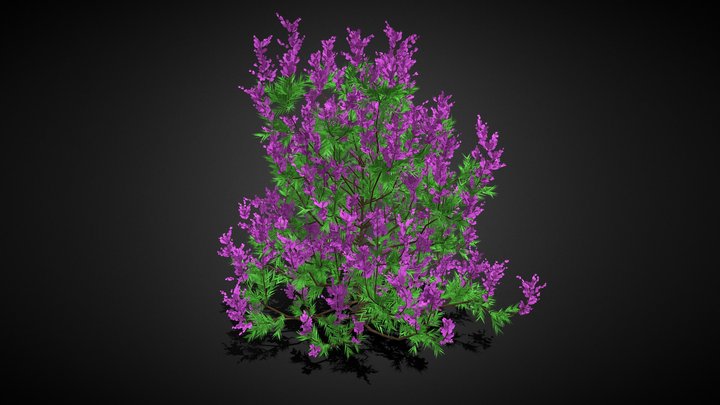 Heather 3D models - Sketchfab
