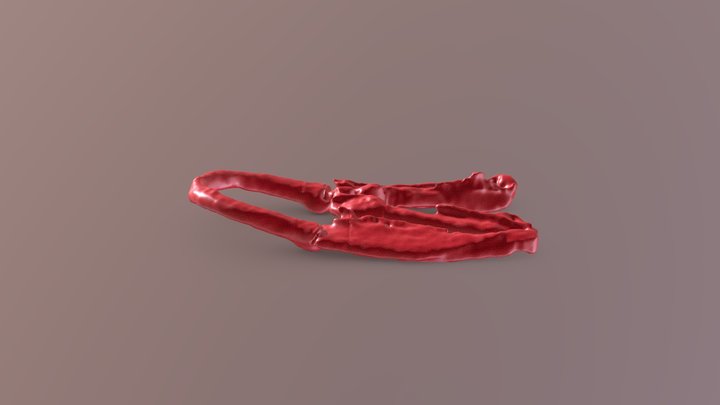 Zebrafish 3D models - Sketchfab