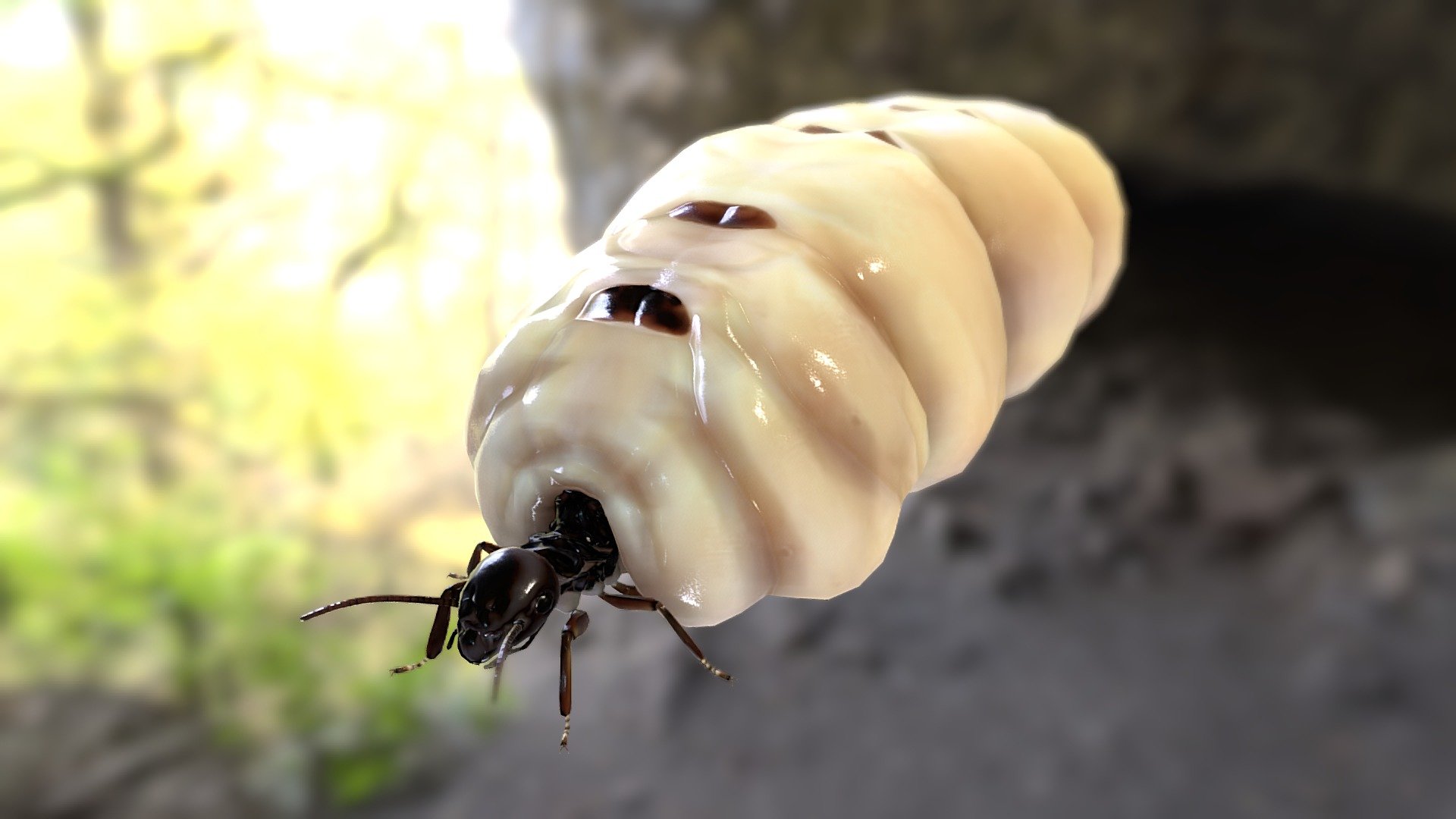 Termite_Queen - Buy Royalty Free 3D model by Boycraft [1099c76 ...