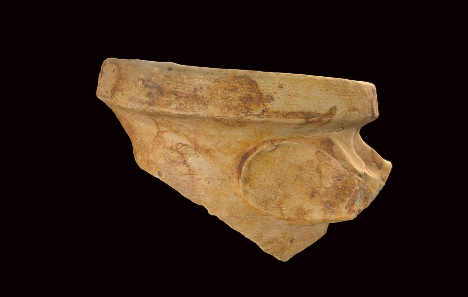 Pot Fragment - 3D model by G.Steel (@grasshopper) [109a421] - Sketchfab