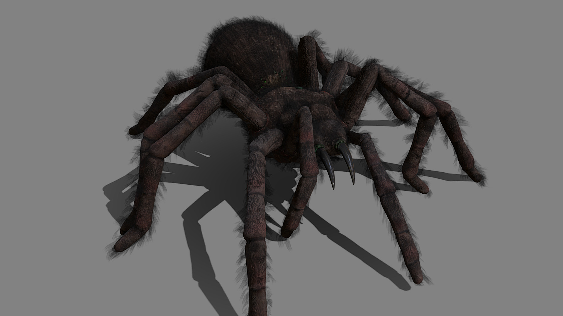 Spider - Tarantula with animations - Buy Royalty Free 3D model by ...