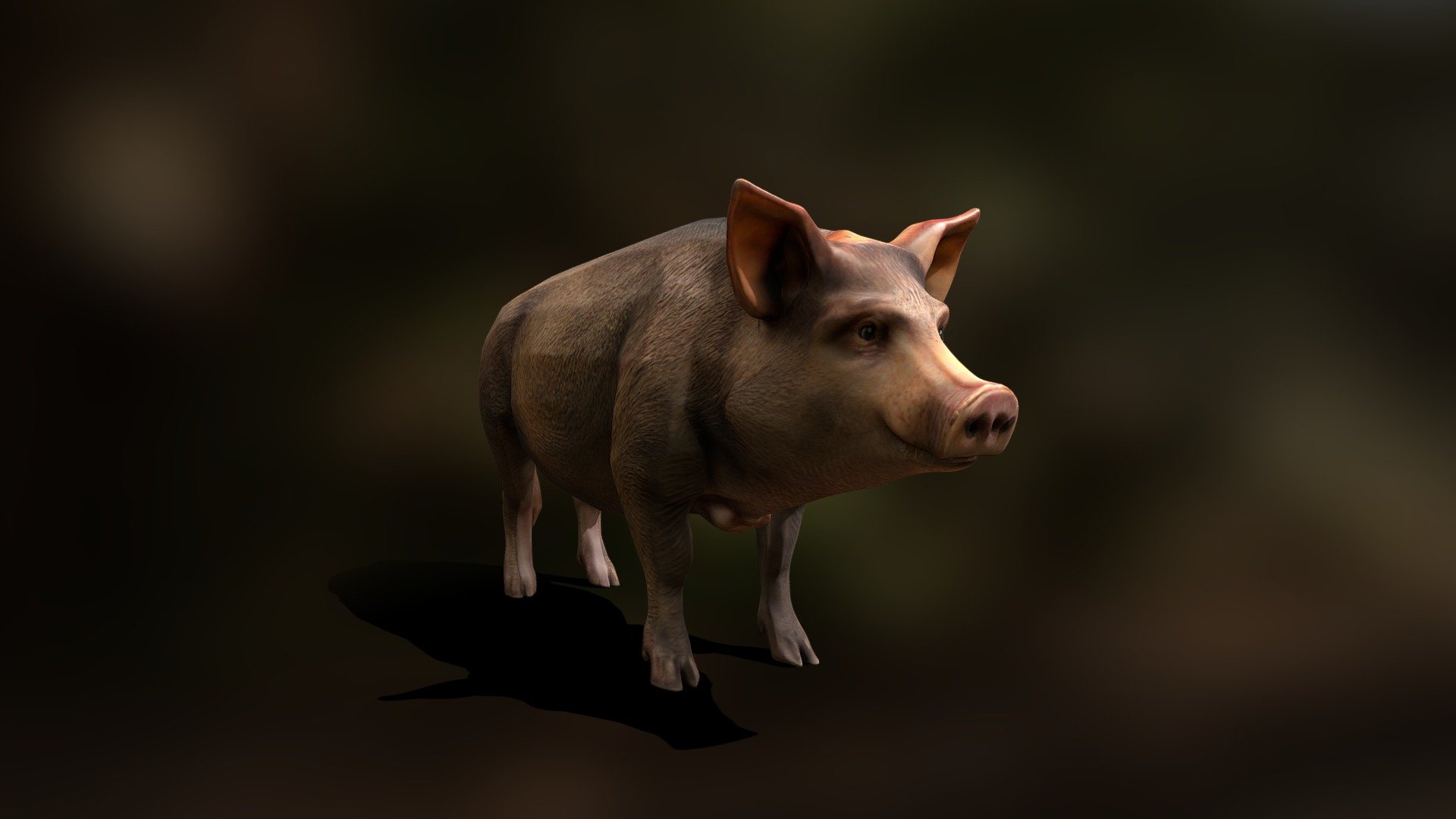 Wild Pig/Boar [MESHY] - Download Free 3D model by Ethan Cox ...