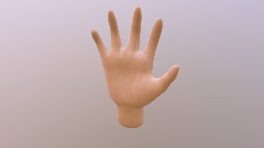 Hand - 3D model by julianabiloba [10a5318] - Sketchfab