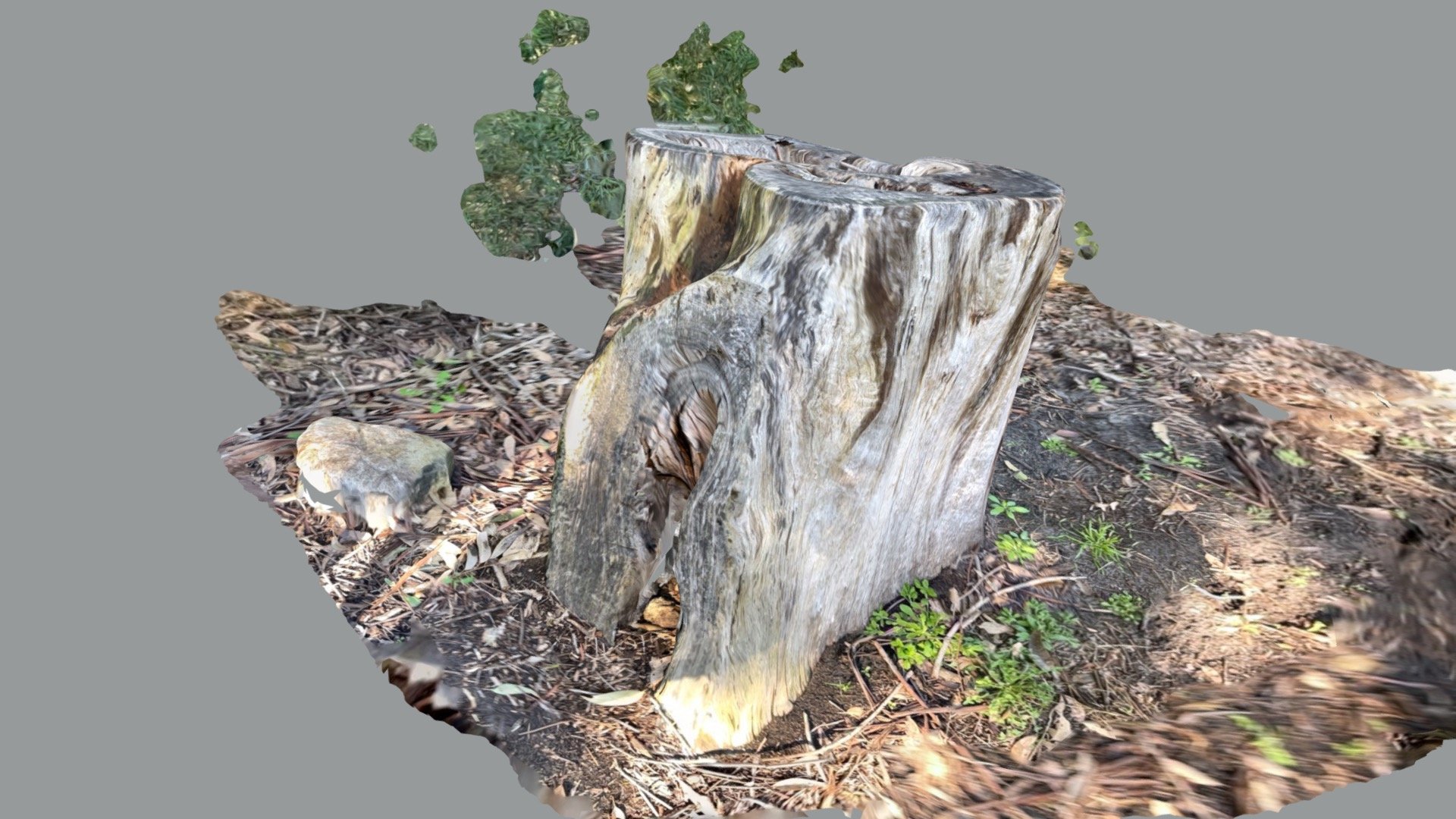 trunk - Download Free 3D model by Jimmy Gunawan (@jimmygunawan ...