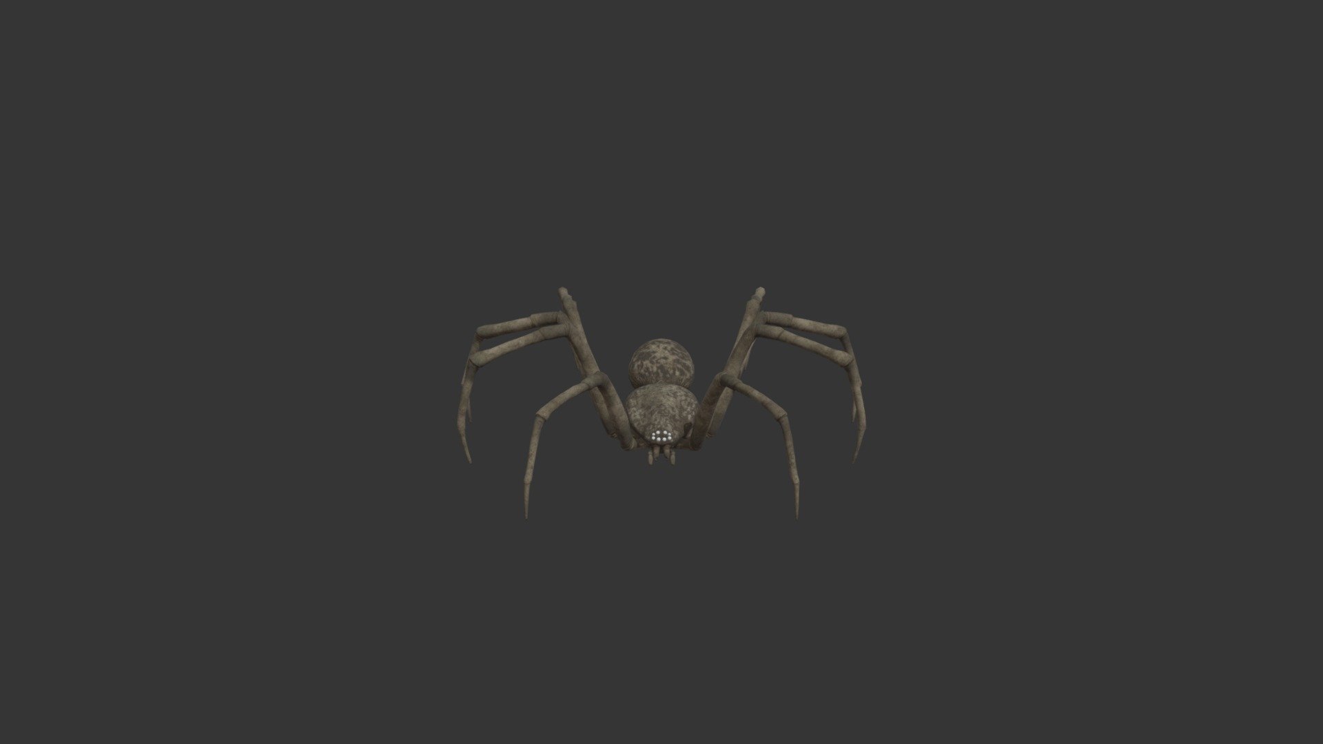 Spider - 3D model by Ds.TopLon [10a81ef] - Sketchfab