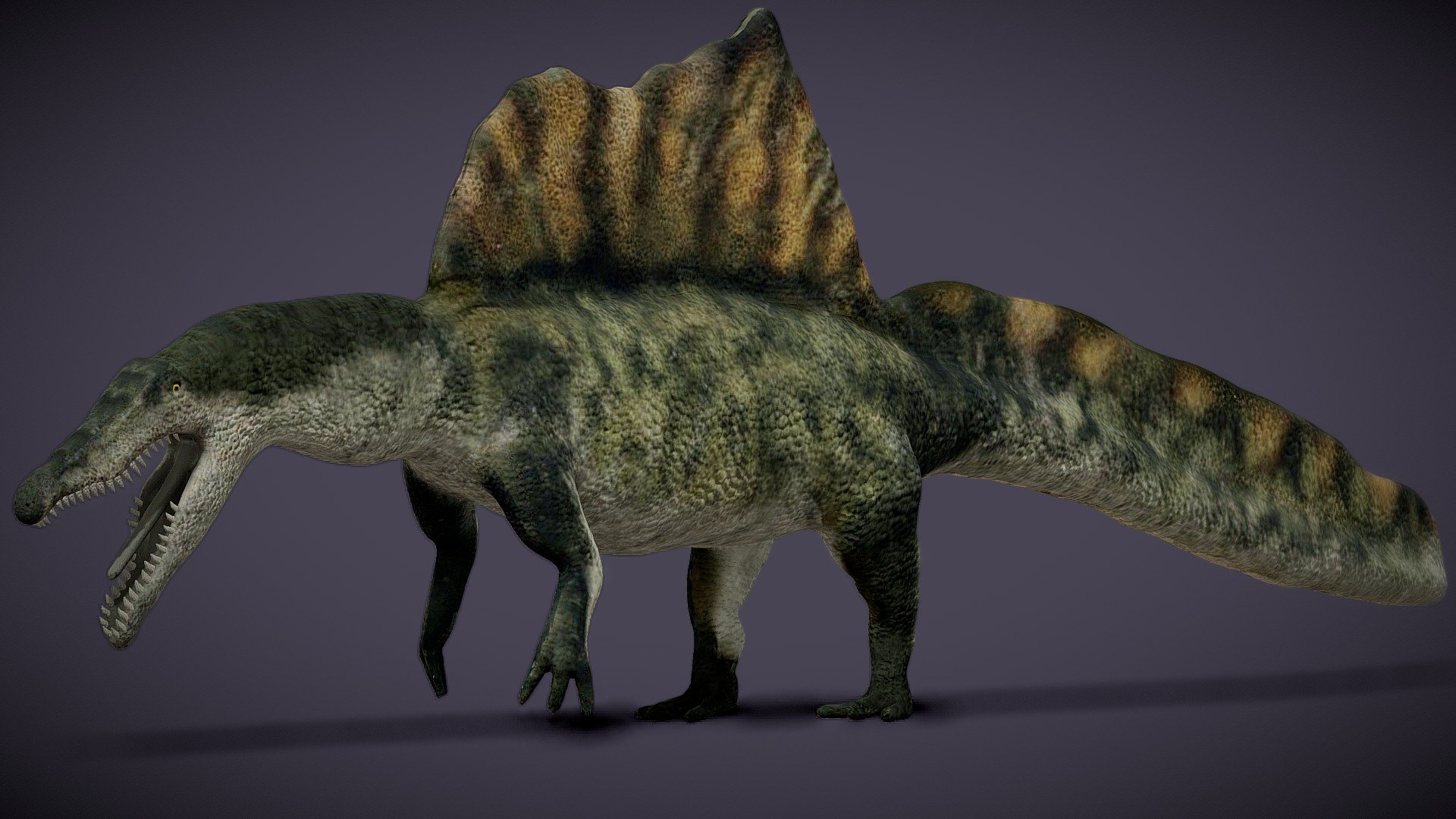 Animated Spinosaurus - 3D model by Anees Animates (@AneesAnimates ...