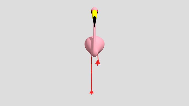 Flamingo 3D models - Sketchfab