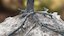 Gnarly Tree 2 - Free Download! - Download Free 3D model by Bart (@bartv ...