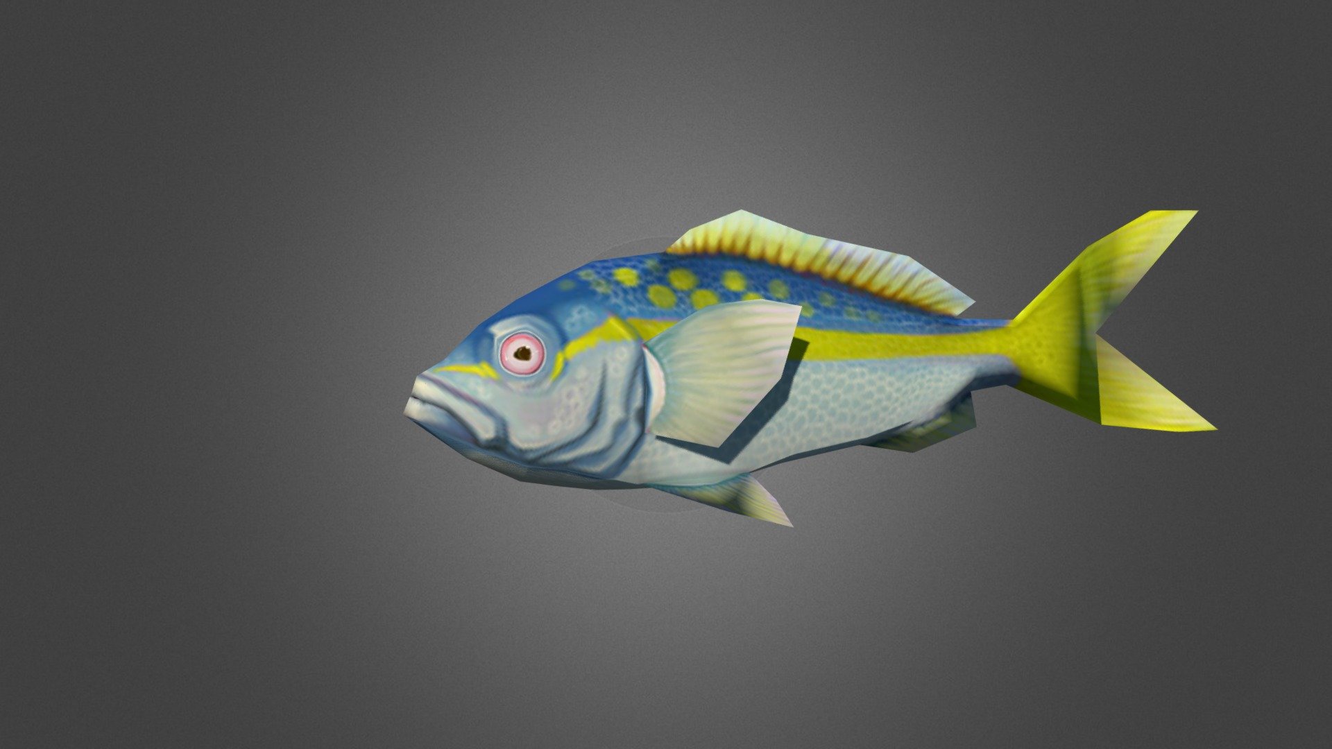 Yellowtail Snapper - 3D model by 3lbgames [10b94b2] - Sketchfab