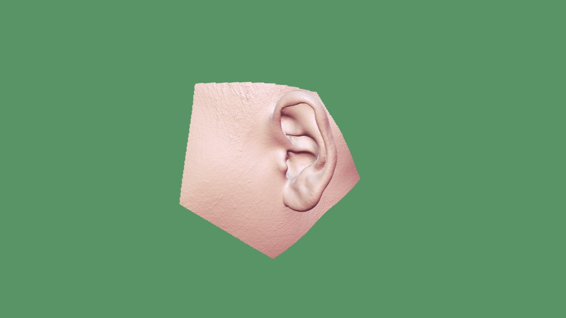 Ear - Download Free 3D model by Nancy/Lanzi Luo (@Thunk3D-Nancy ...