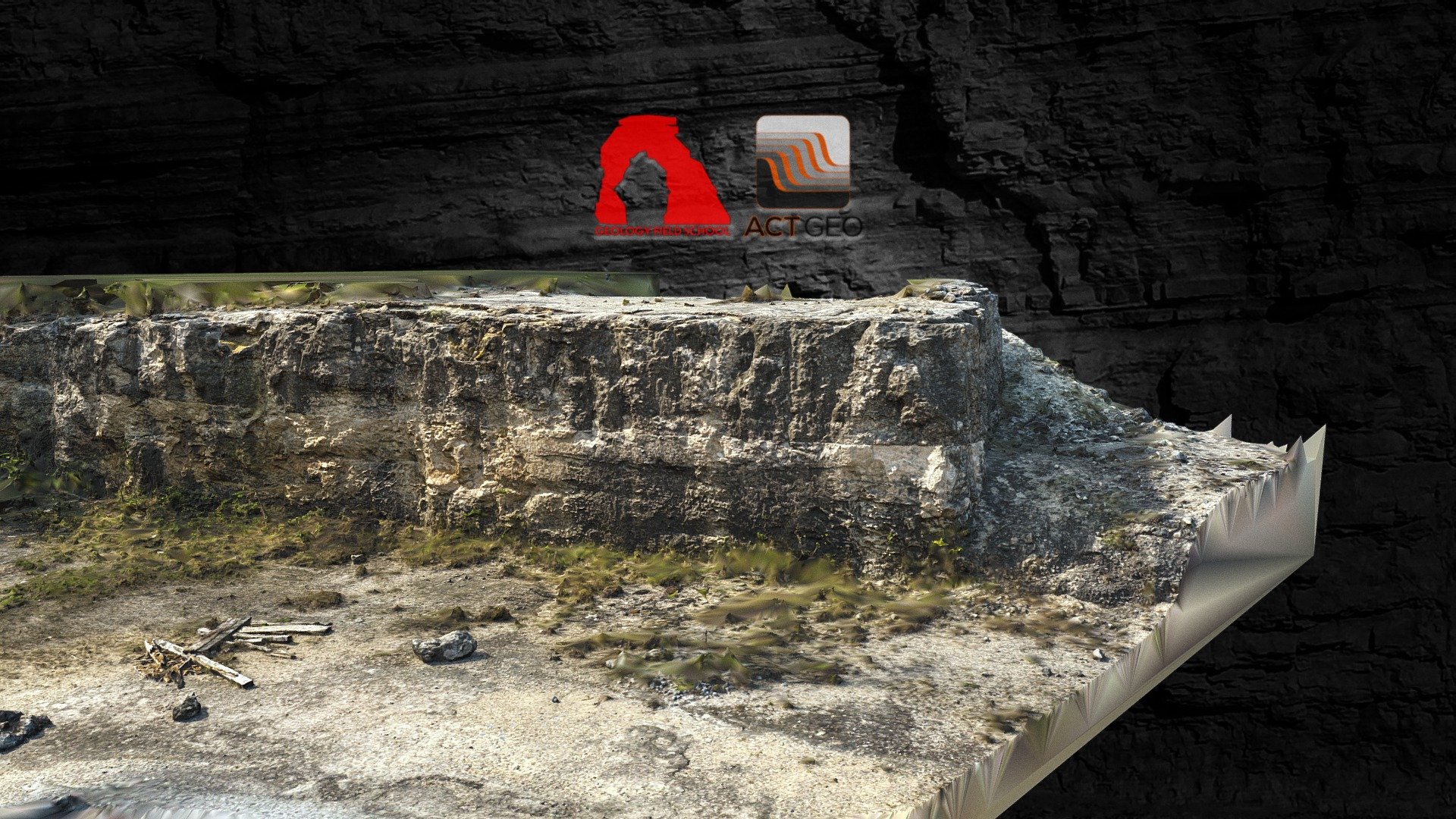 Carbonate Outcrop - 3D model by Geology Field School ...