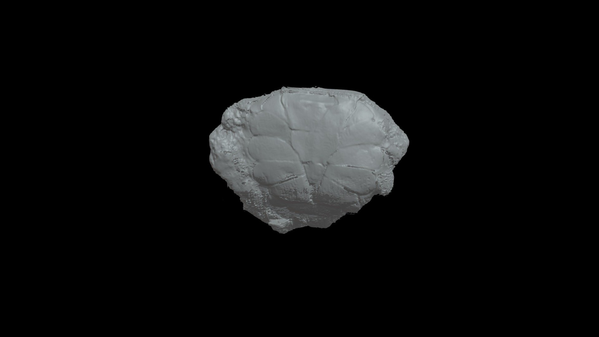 Portunus haitensis (Rathbun, 1923) - 3D model by MRamos ...