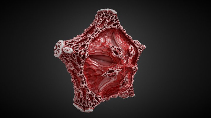 Fractal 3D models - Sketchfab