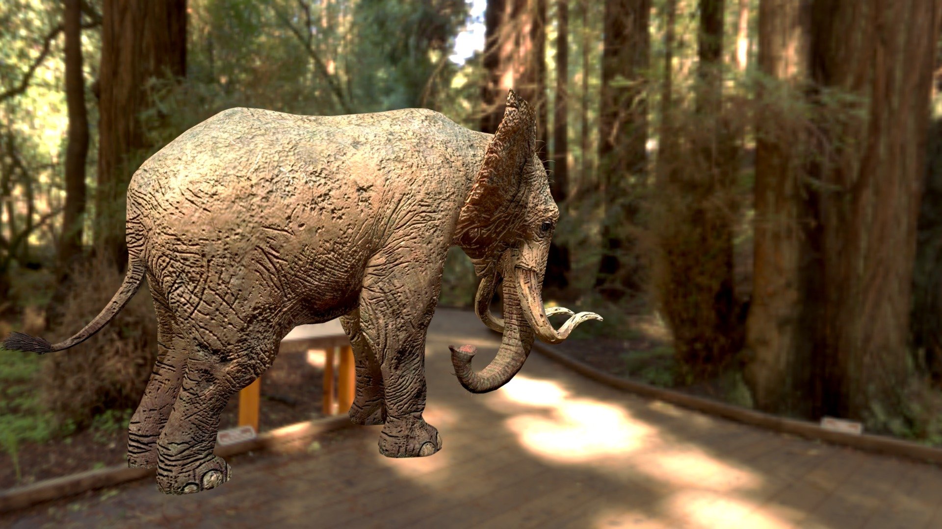ASIAN Elephant - 3D model by Rdam 3D Pictures (@rdam) [10d23fd] - Sketchfab