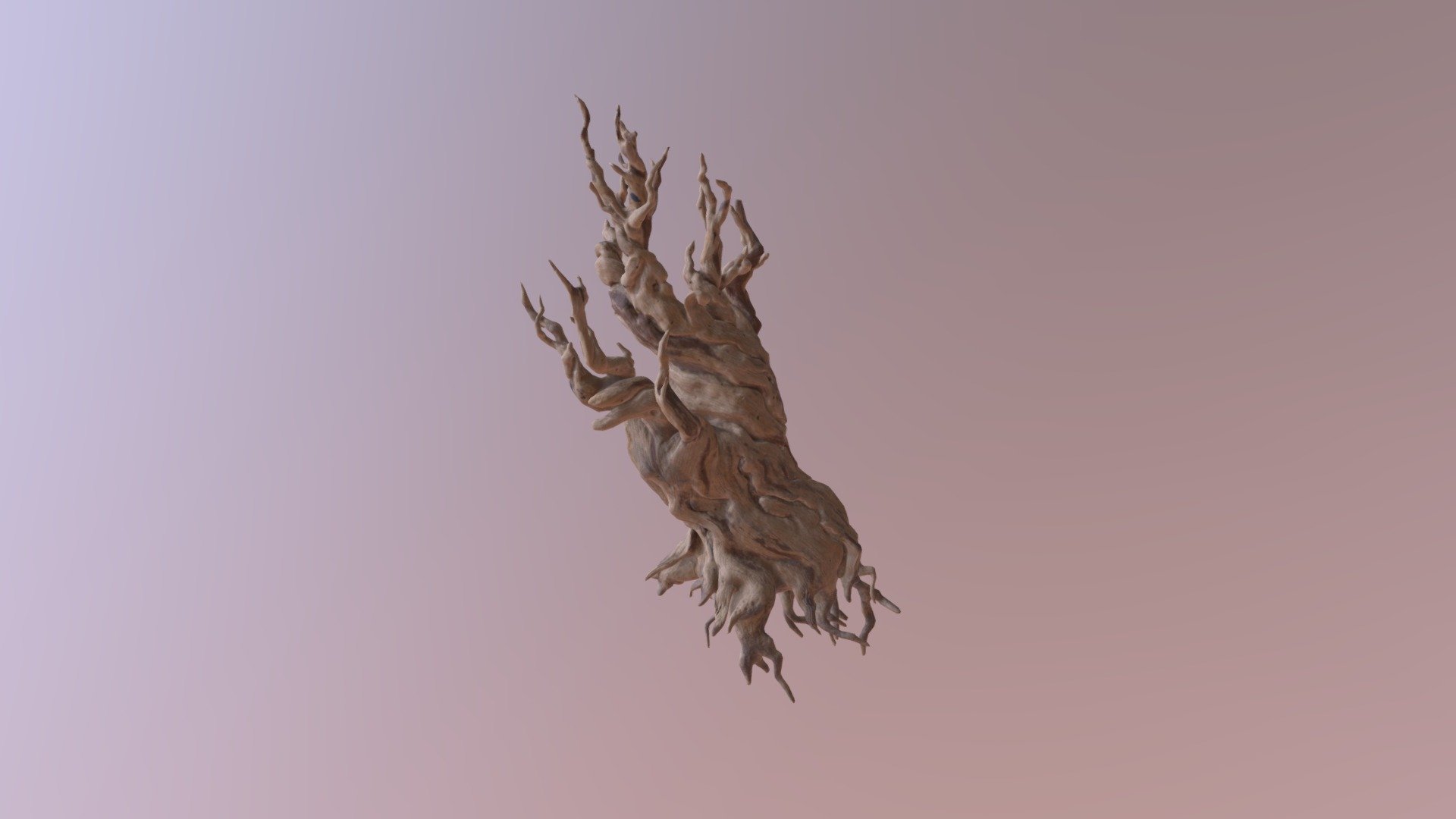 Bristle Cone Tree - 3D model by Thomas Fraser (@thomasfraser) [10dc1af ...