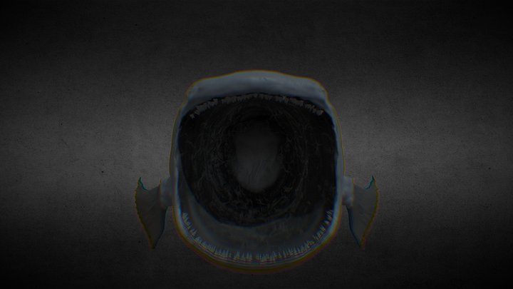 Bloop 3D models - Sketchfab