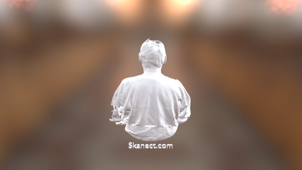 Grandpa-Skanect - 3D model by Morgan Lockwood (@morgan.lockwood ...