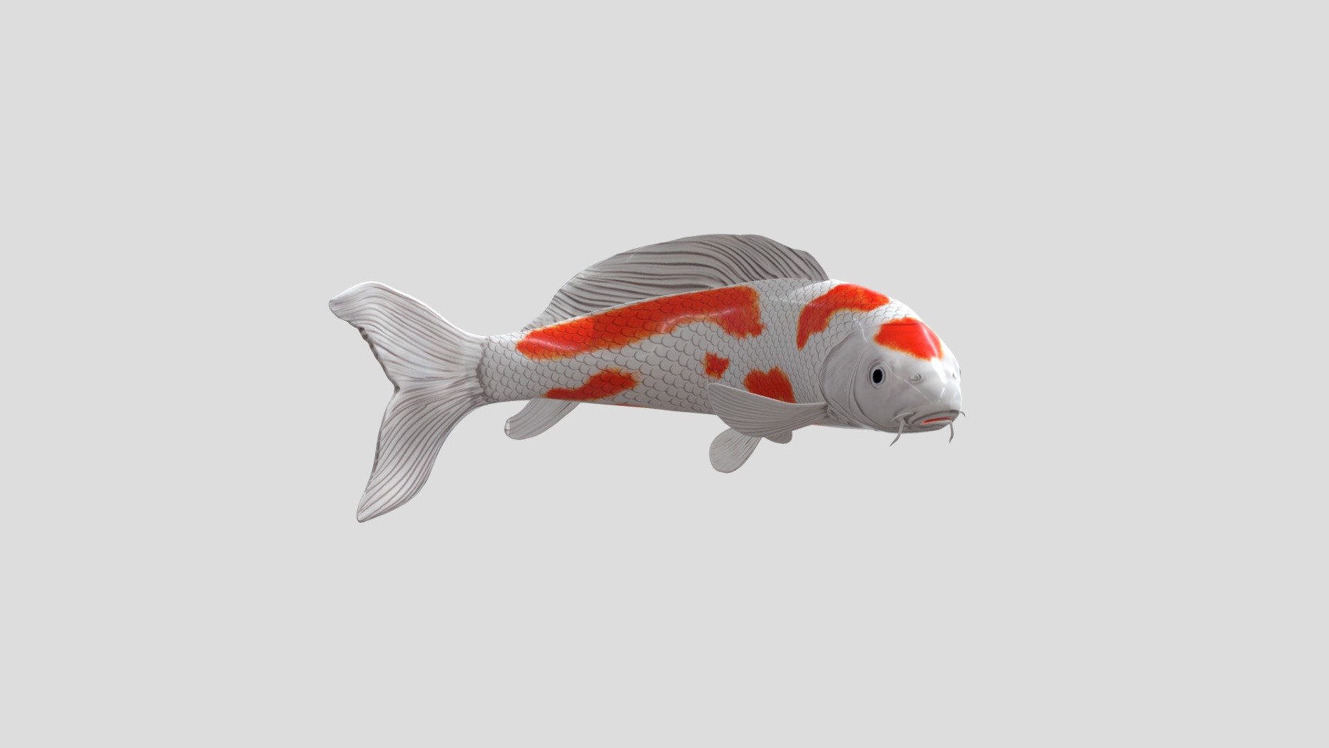 Ikan Koi - 3D model by ekaputri28 [10f1119] - Sketchfab