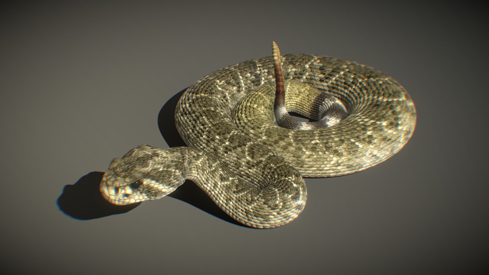 Western Diamondback Rattlesnake - 3D model by Nestaeric [10f97ad ...
