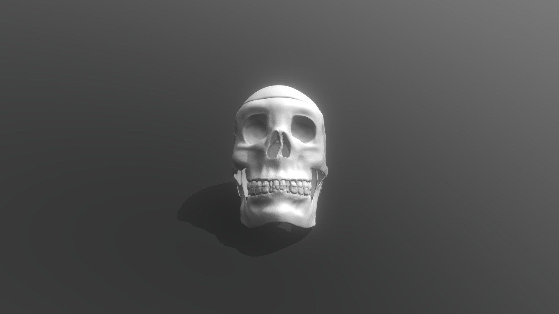 Skull head - 3D model by Joffrey Laval (@amyzing) [10fa1eb] - Sketchfab
