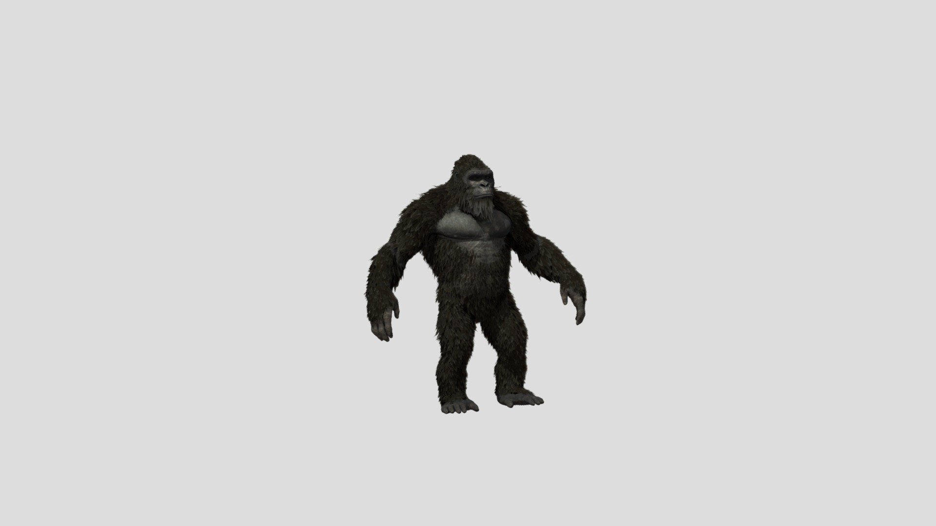 kong_2021_rig - 3D model by Marlon200_8 [10fa737] - Sketchfab