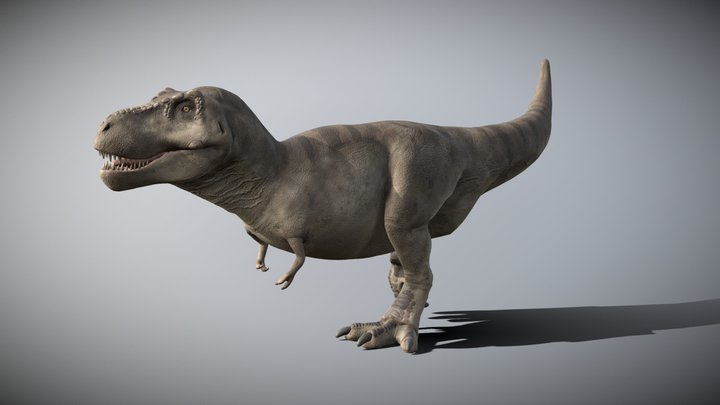 Rexy 3D models - Sketchfab