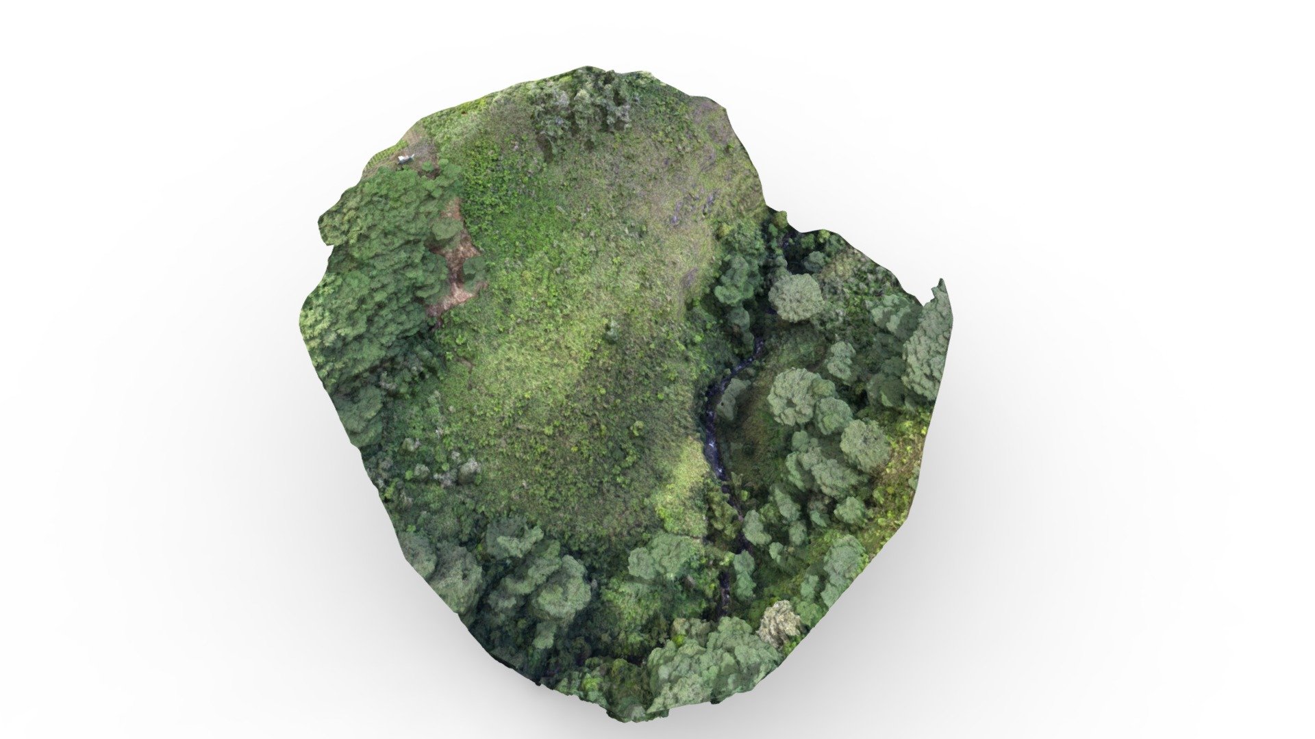Pangantucan, Bukidnon Drone Reforestation Site - 3D model by ...