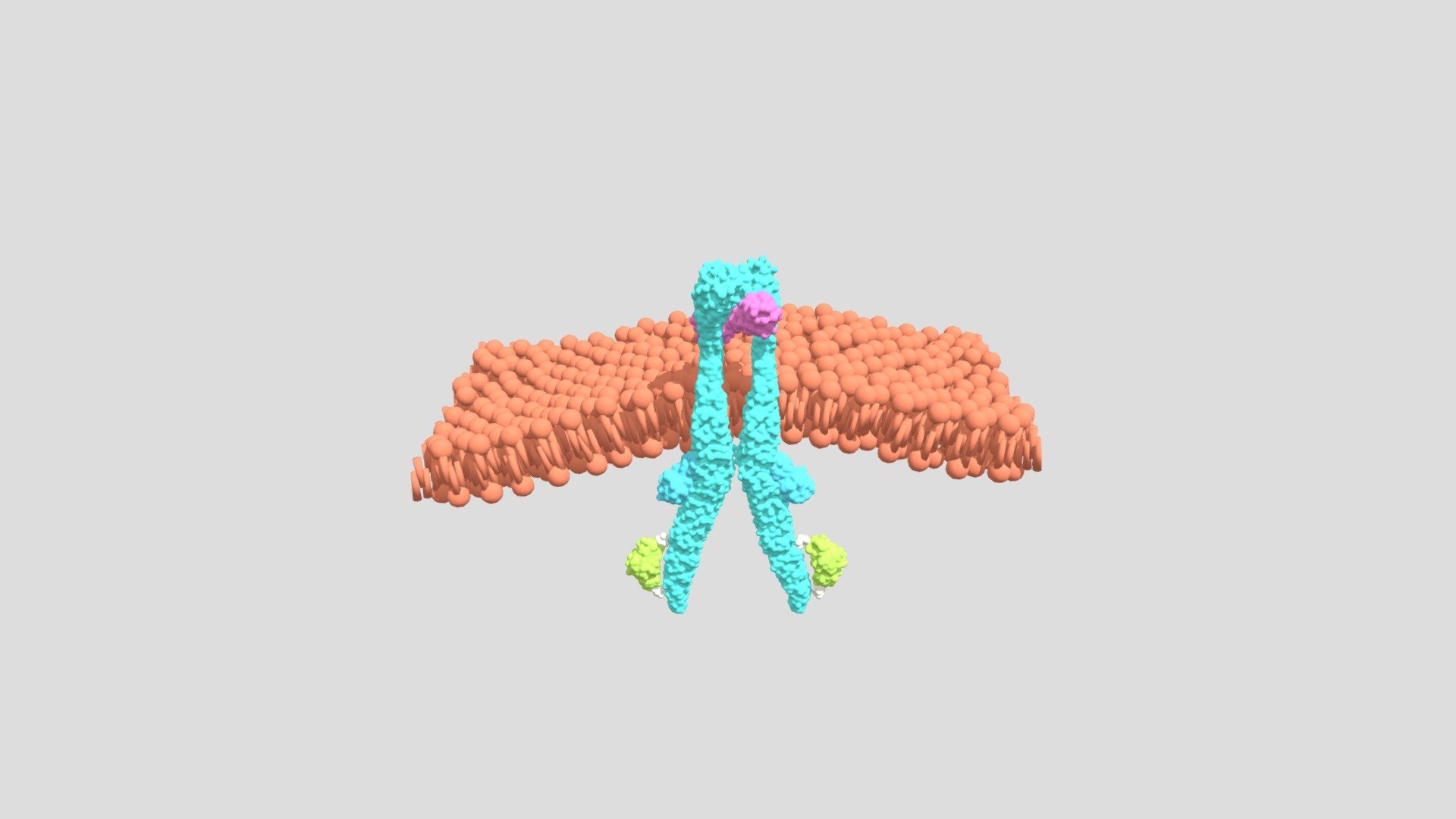 Receptors pre-dimerization - 3D model by grzechmilewski [110a8a7 ...