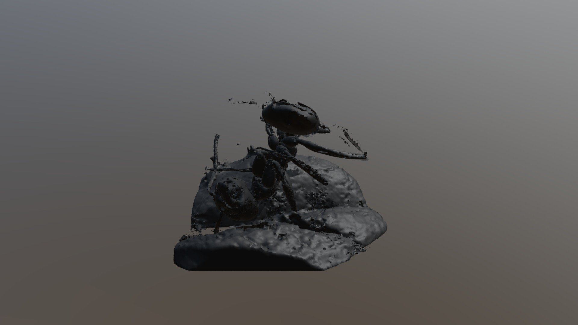 Ant scan - Download Free 3D model by Elan Bustos (@elanbustos) [110b317 ...