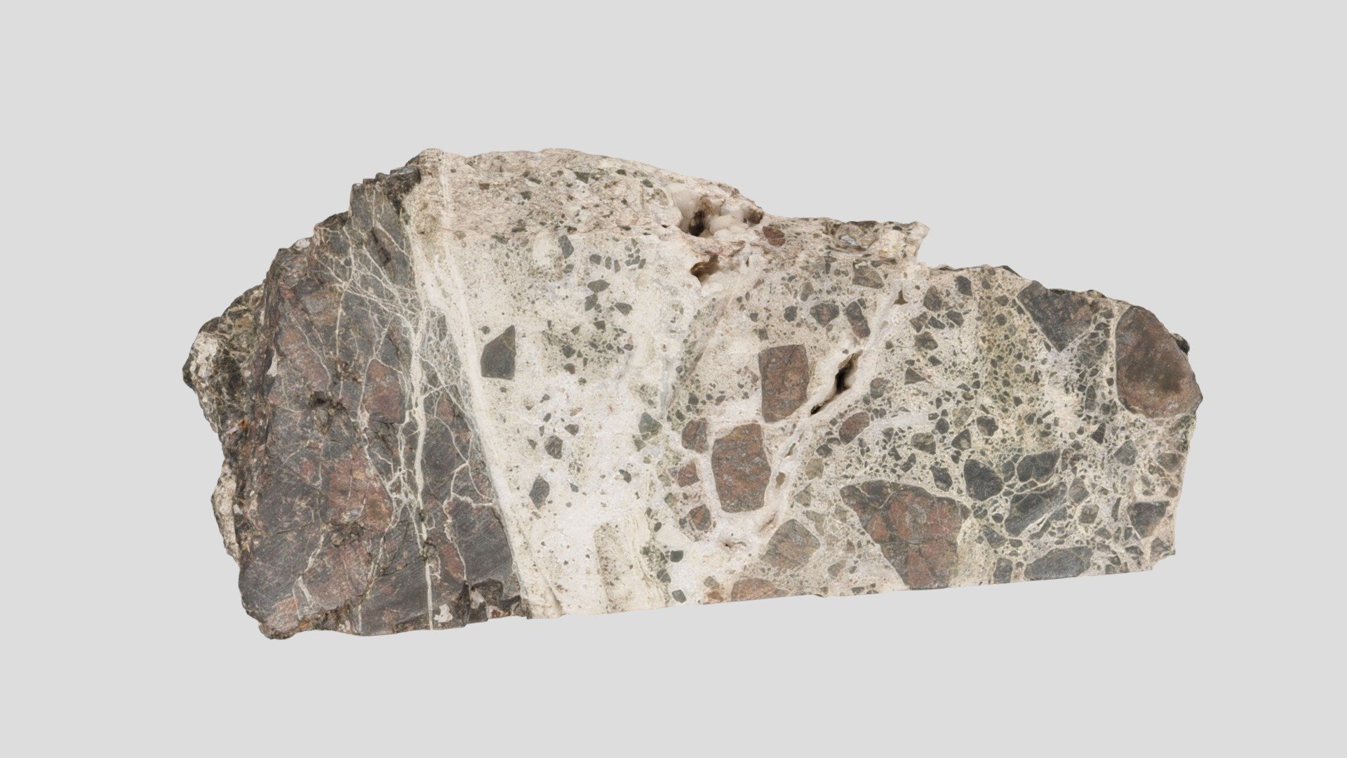 New Jena specimen No 24 - Download Free 3D model by Marko Vrabec ...