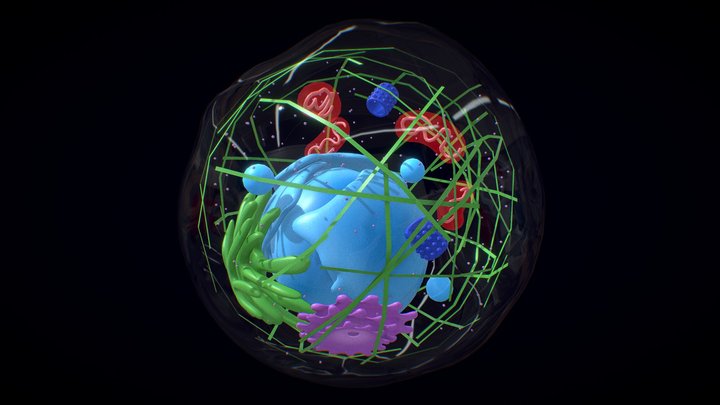 Physics 3D models - Sketchfab