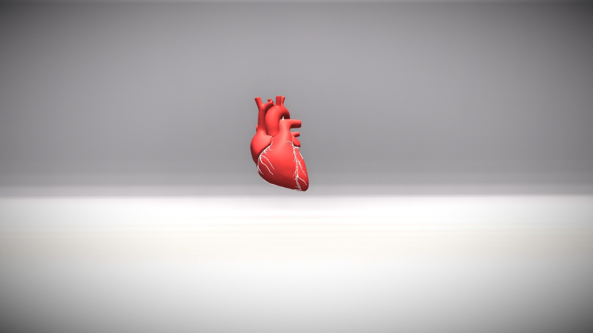 heart_full_v2_animated - 3D model by EletroCardio [1112809] - Sketchfab