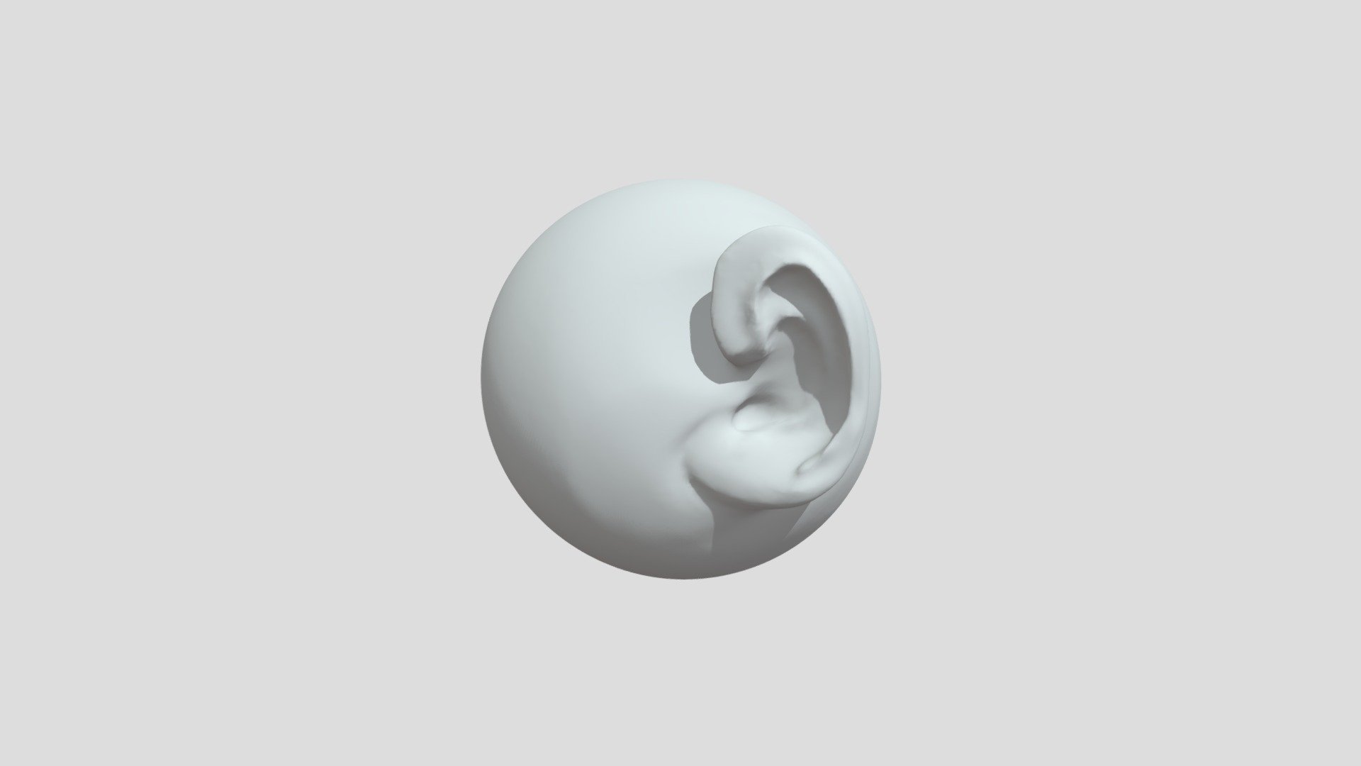 EAR 1 - 3D model by 21574992 [1113b9b] - Sketchfab