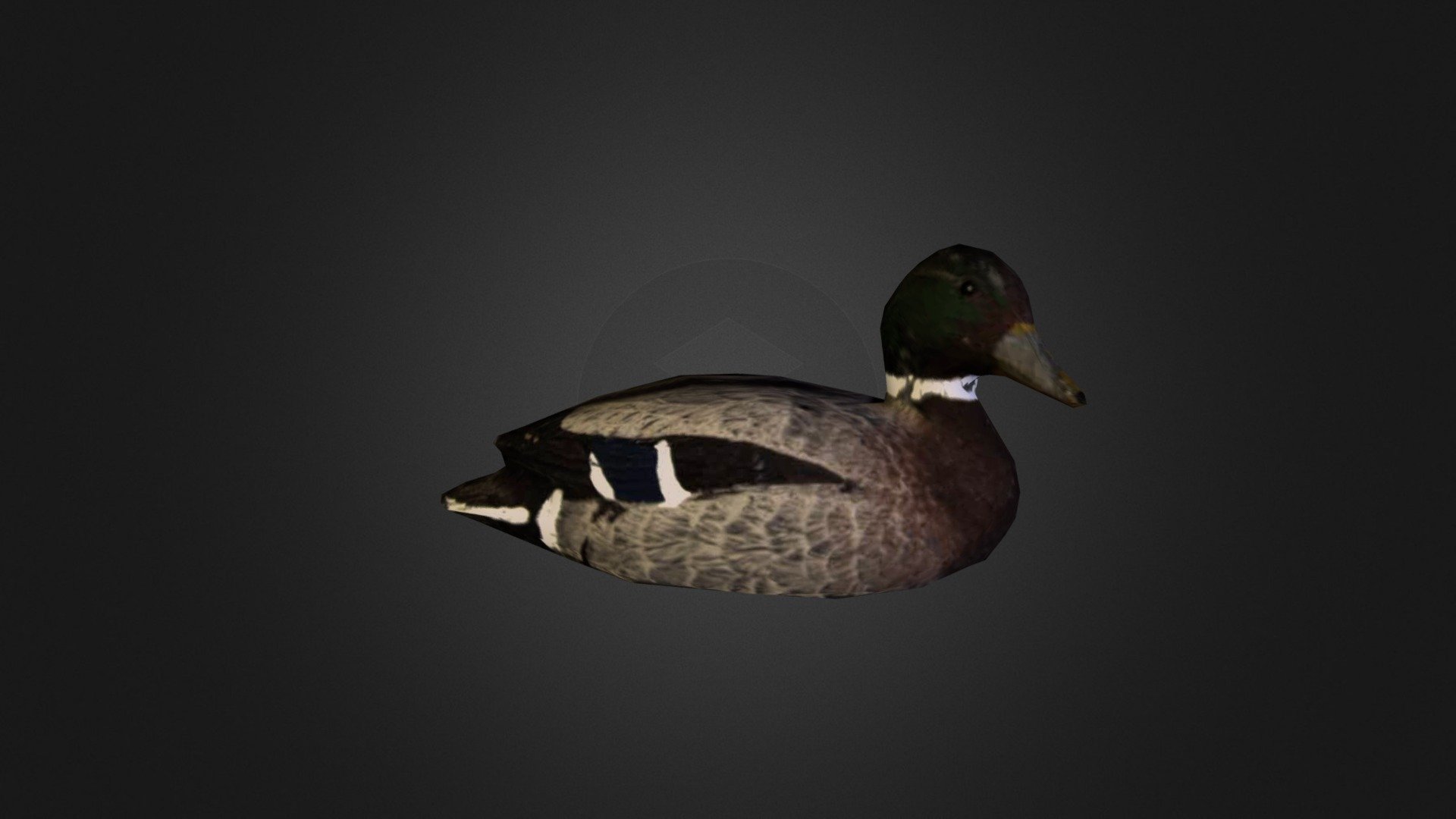 duke mallard - 3D model by 3DScan4You.de (@3dscan4you) [1114fe9 ...
