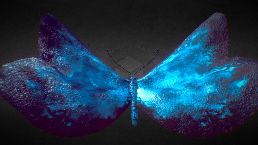 butterfly - A 3D model collection by housedesign - Sketchfab