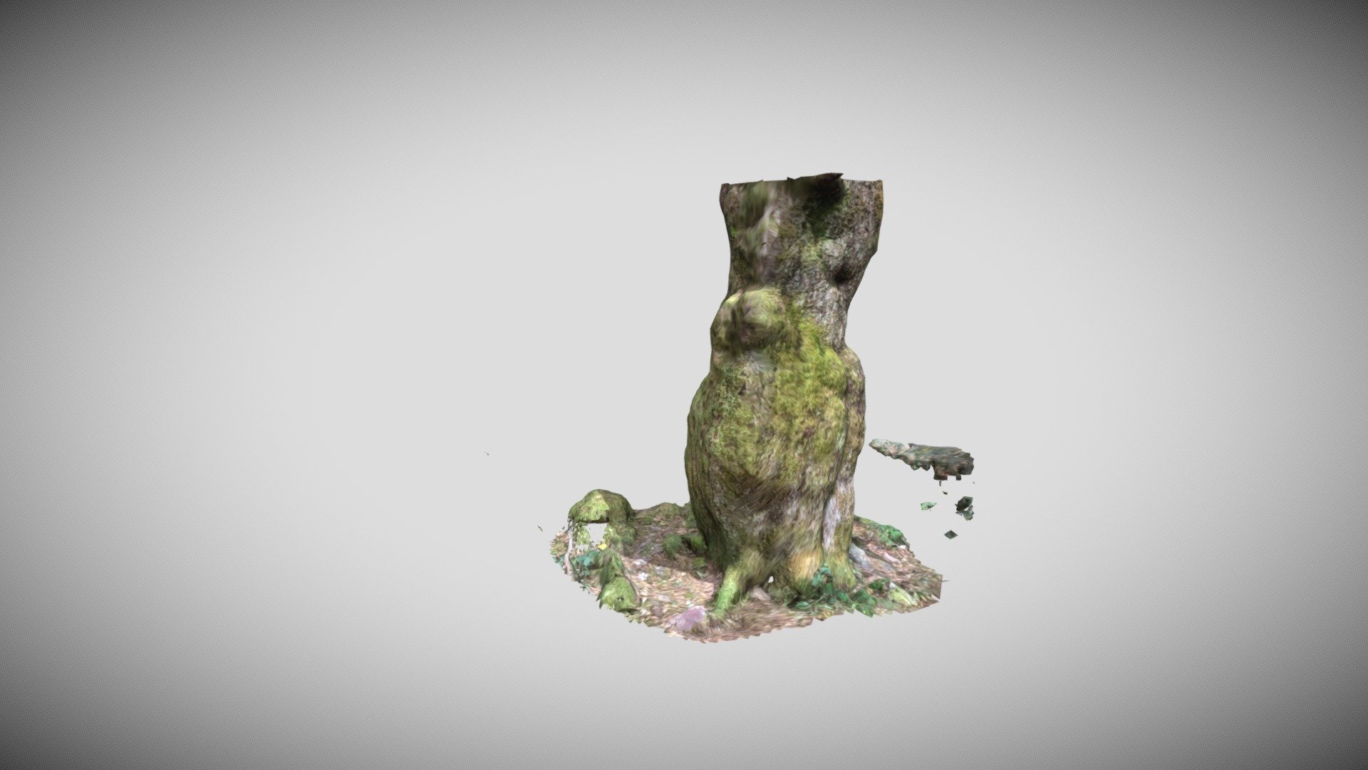 Strange tree trunk - 3D model by Jimmy (@jimmy4371) [1126521] - Sketchfab