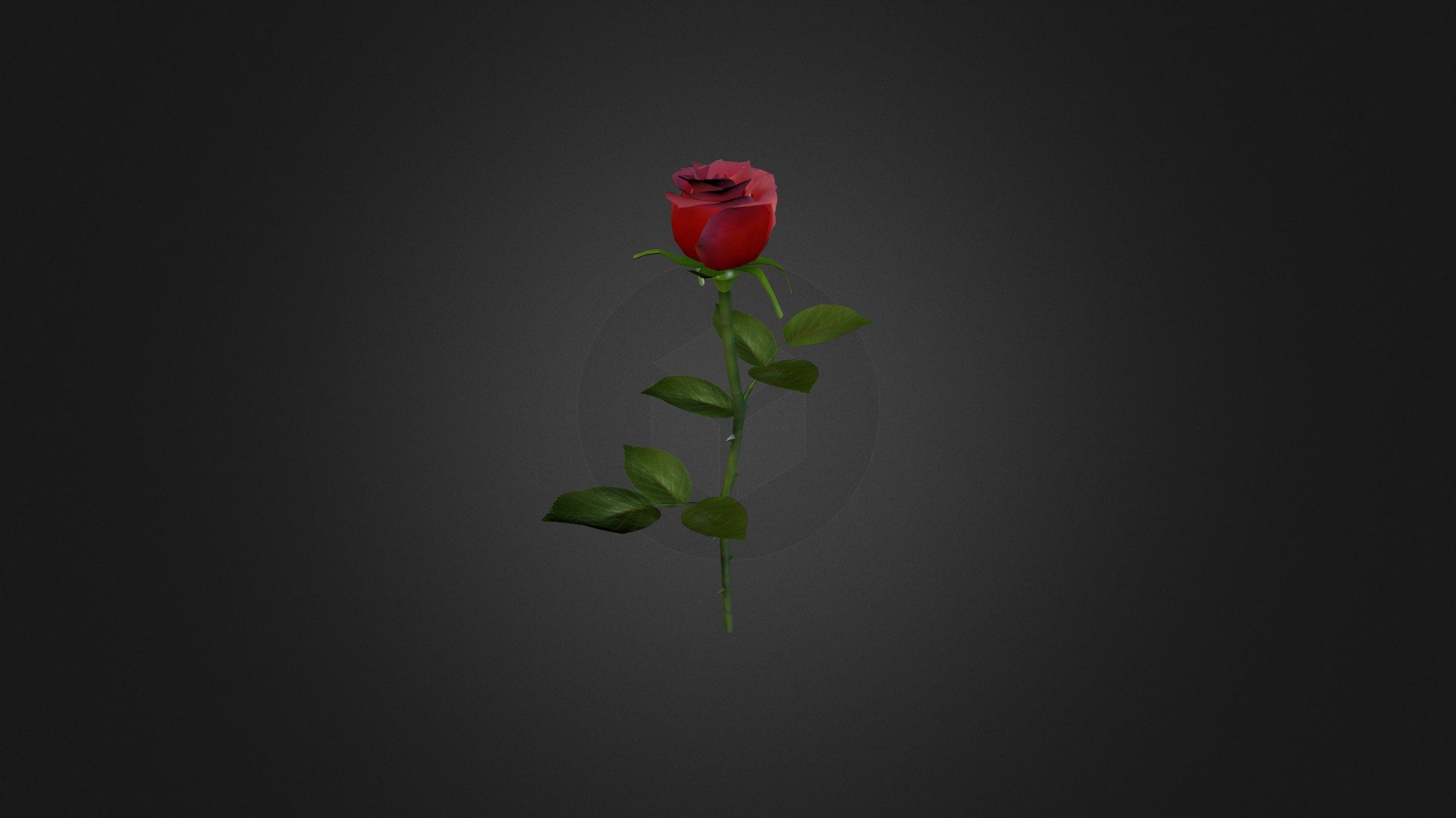 rose closed - 3D model by roundpx [112a374] - Sketchfab