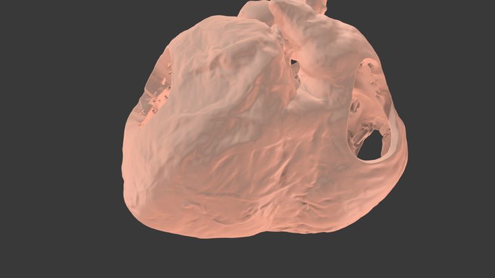 Cavc 3D models - Sketchfab