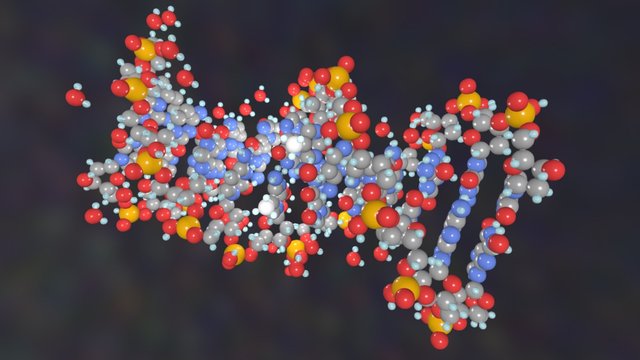 Methylation 3D models - Sketchfab