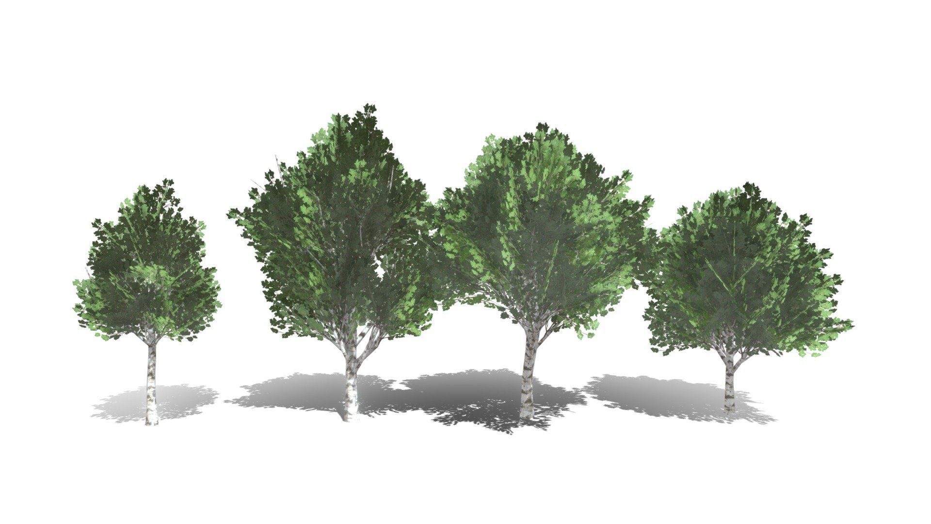 Low poly game ready gray poplar trees - Buy Royalty Free 3D model by ...