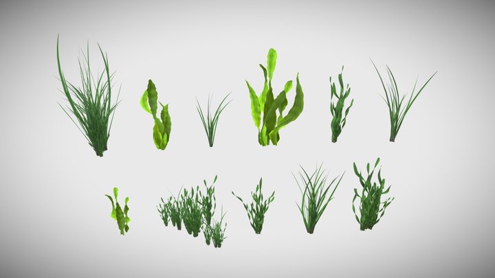Groundwater 3D models - Sketchfab
