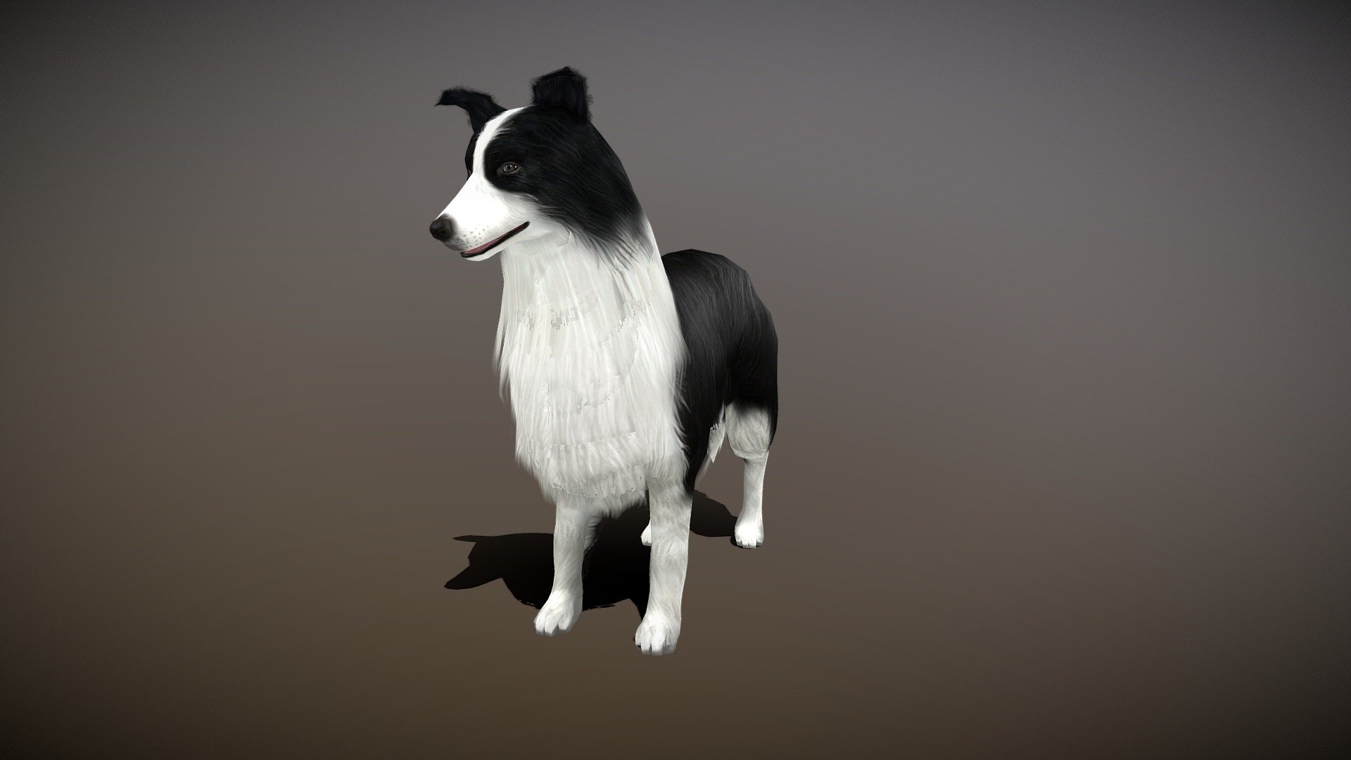 Sheep Dog Animated - Buy Royalty Free 3D model by Bilal Creation ...