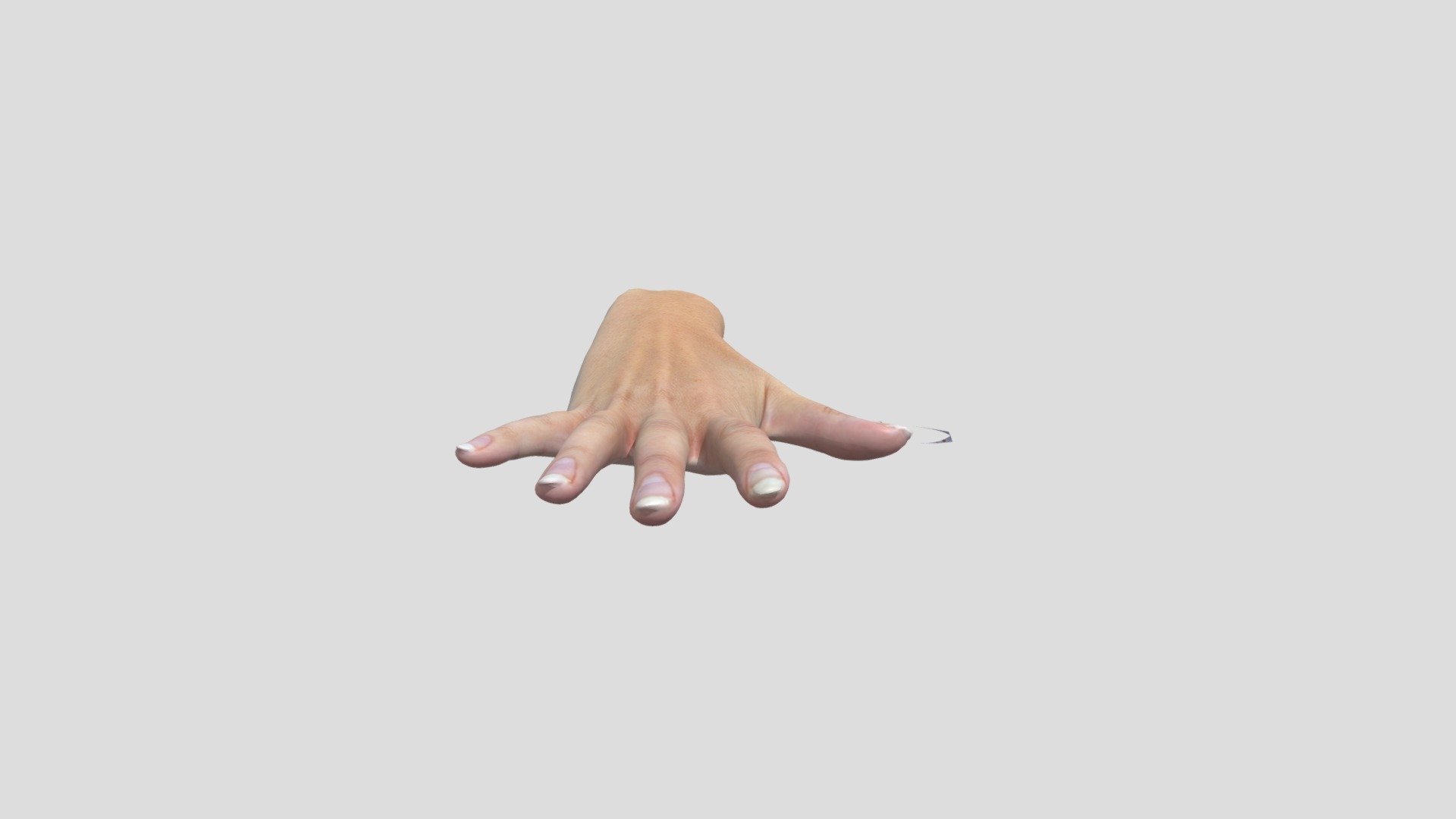 Pp - 3D model by nailelf.leah [1138655] - Sketchfab