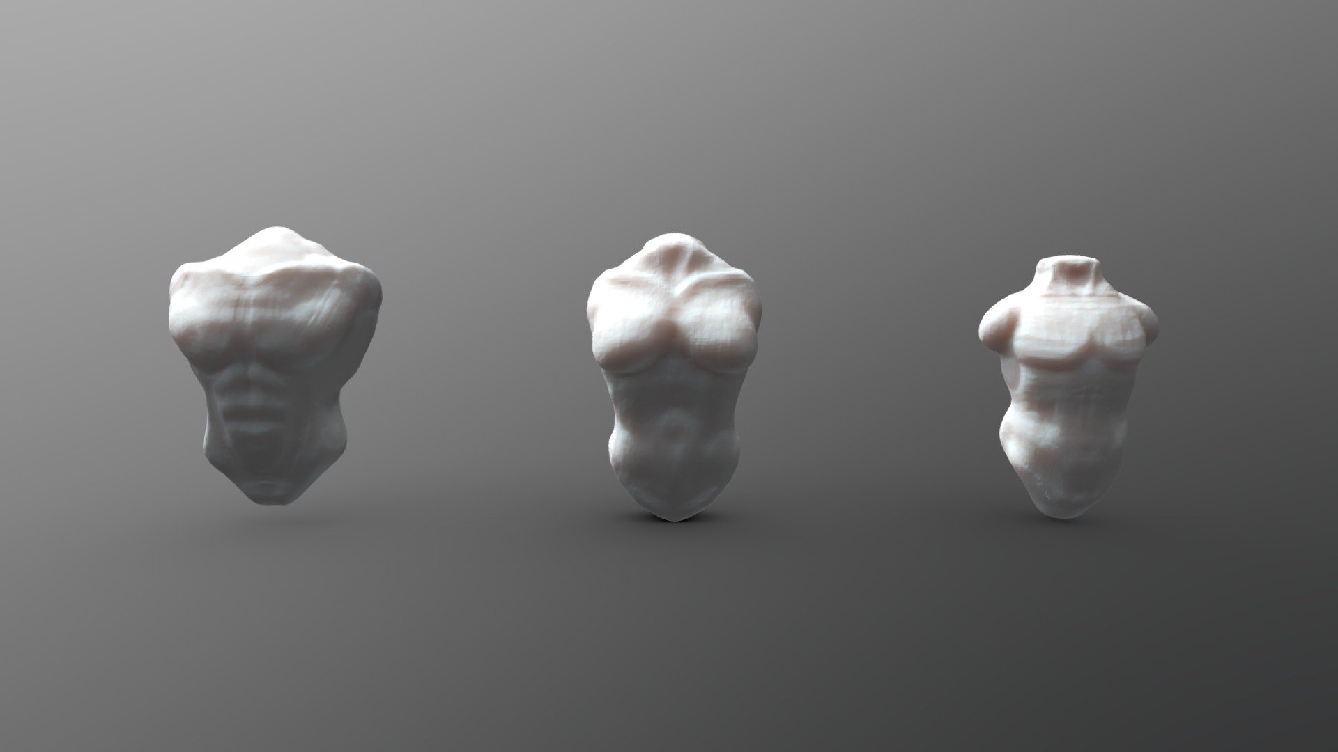 Torso Studies - 3D model by erika.cope [1139e20] - Sketchfab